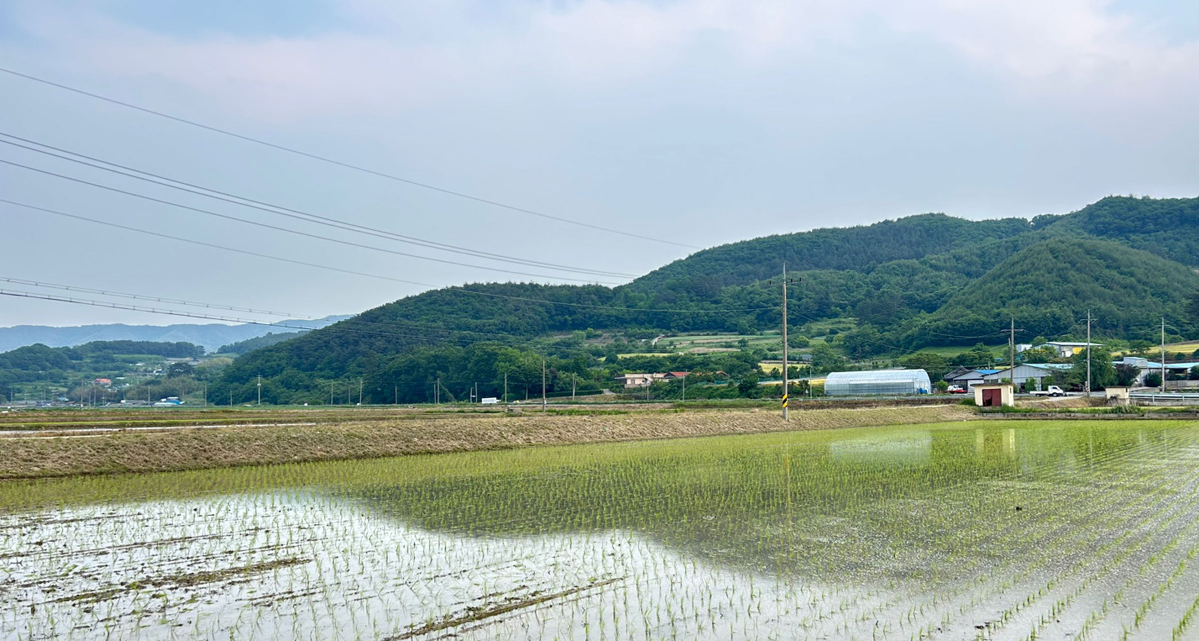 농사 5년 차, 성능과 조작의 균형을 갖춘 T130